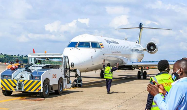 Entebbe City Tour | Visit to Ngamba Chimpanzee Island